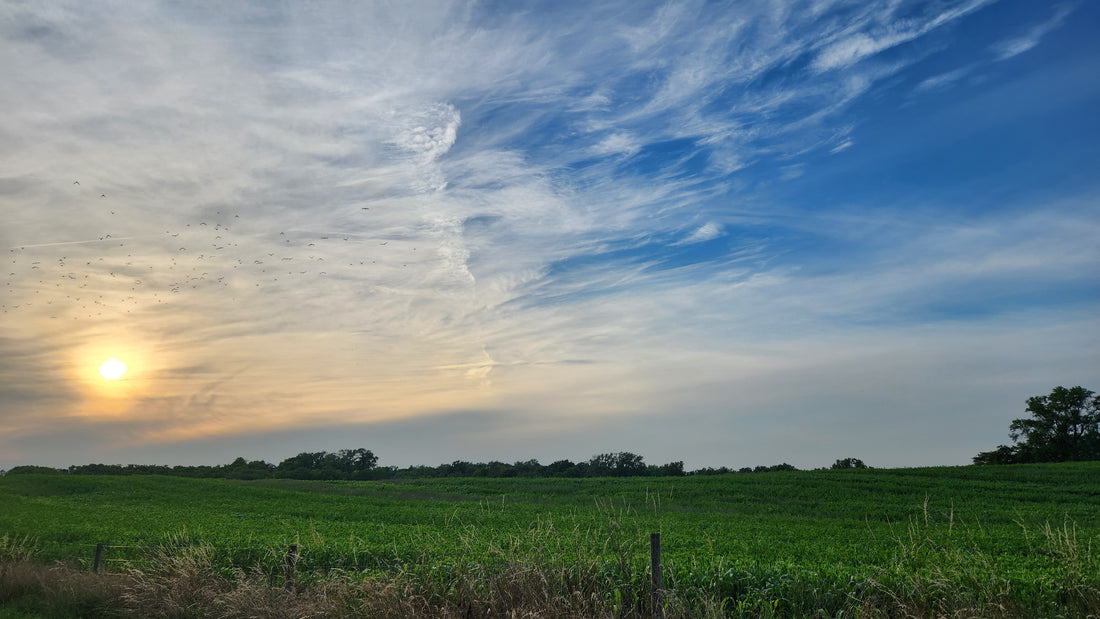 Becker Farms